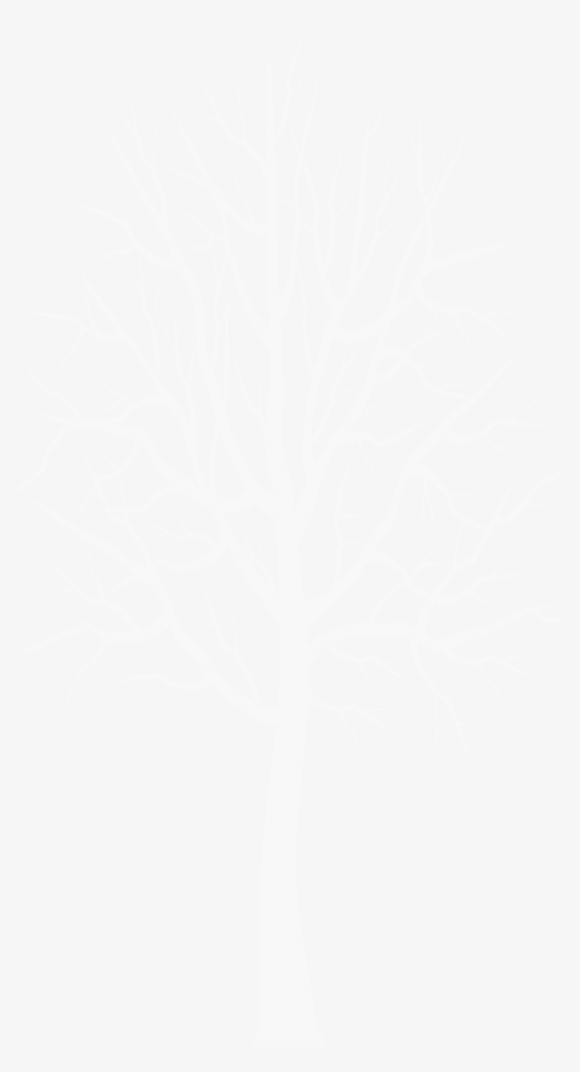 White Tree Transparent Png - Portable Network Graphics - 3906x7000 PNG ...