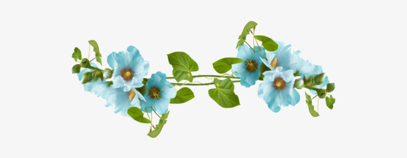 Flower Dividers Tumblr