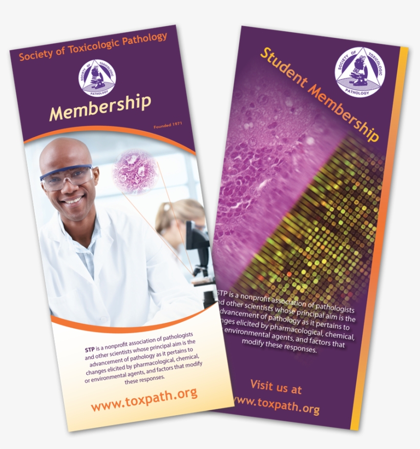 Membership Application - Flyer - 900x912 PNG Download - PNGkit