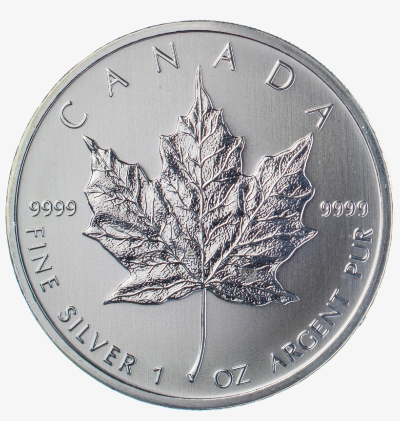 Canadian Silver Maple - Cash - 2400x2400 PNG Download - PNGkit