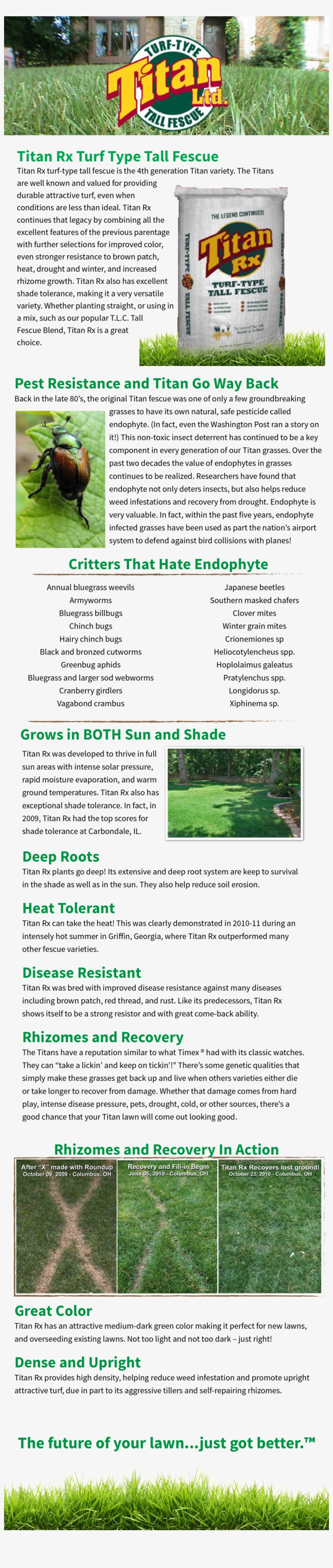 Titan Web Page-01 - 1000x4655 PNG Download - PNGkit