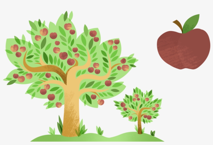 Apple Assets Apple Tree - 1000x563 PNG Download - PNGkit