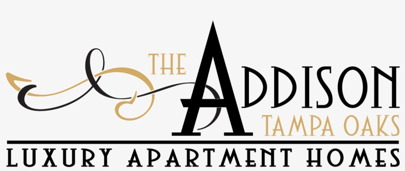 Go Ahead - - Graphic Design - 1695x650 PNG Download - PNGkit