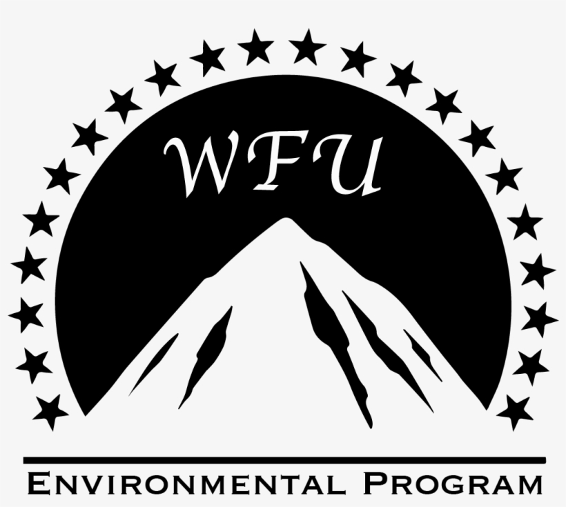 Colorful, Bold, University Logo Design For A Company - Paramount Logo ...