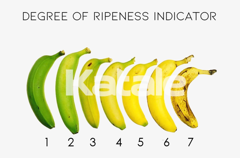 Alphonso Mangoes - Ripe Banana Scale - 801x801 PNG Download - PNGkit