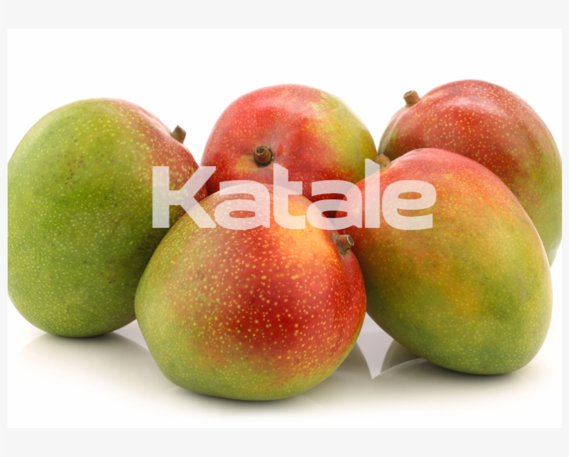Kent Mangoes - Mango - 801x801 PNG Download - PNGkit