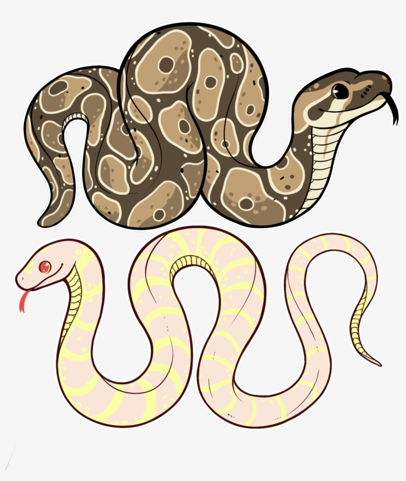 Image Free Are Photo Block - Cute Snake Drawing - 1280x1280 PNG ...