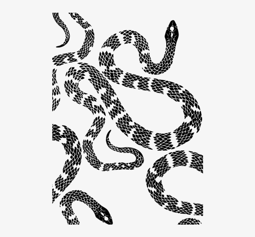 Base - - Sidewinder - 800x750 PNG Download - PNGkit