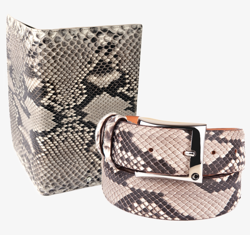 Snakeskin Drawing Snake Skin Pattern Clip Transparent - Snakeskin Goods ...