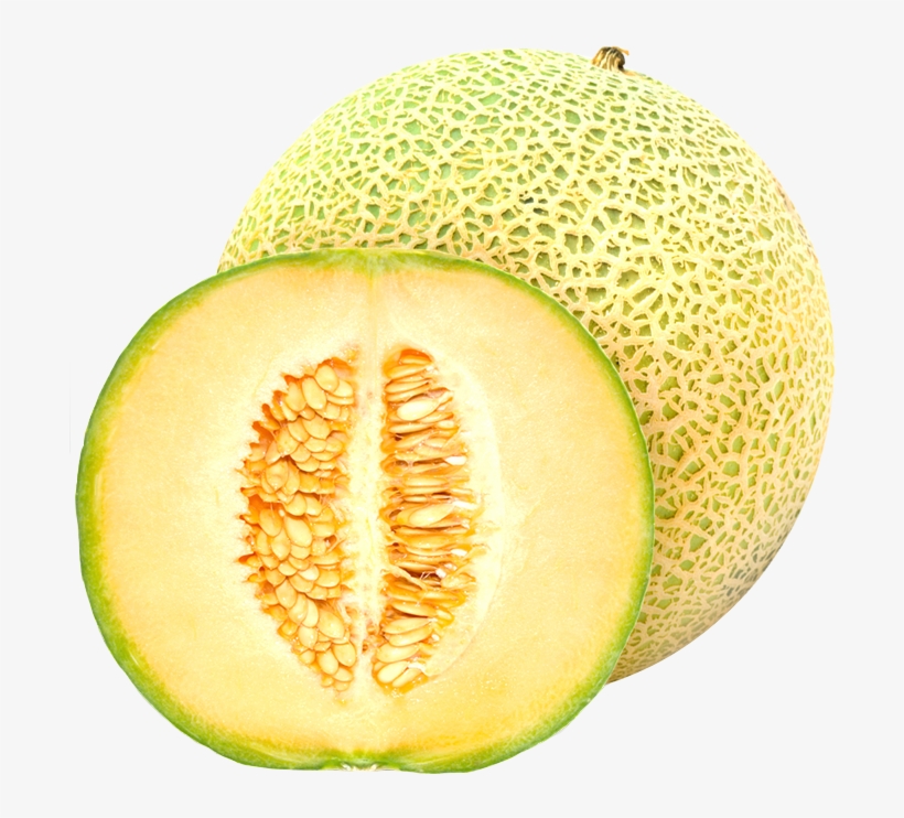 Cantaloupe Melon Fruit Concentrate - Sakar Teti - 700x700 PNG Download ...