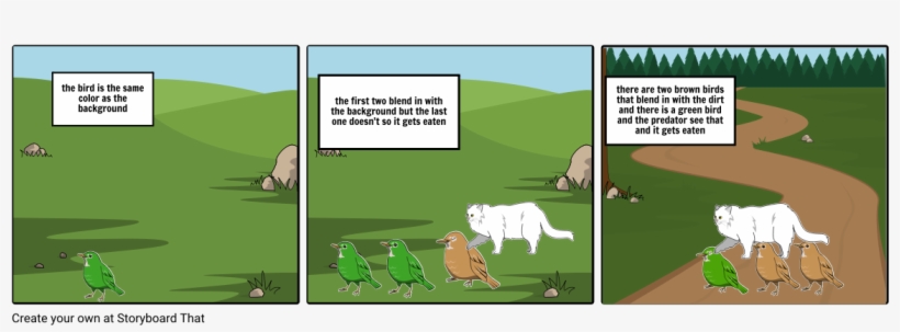 Download Transparent Natural Selection Drawing - Cartoon - PNGkit