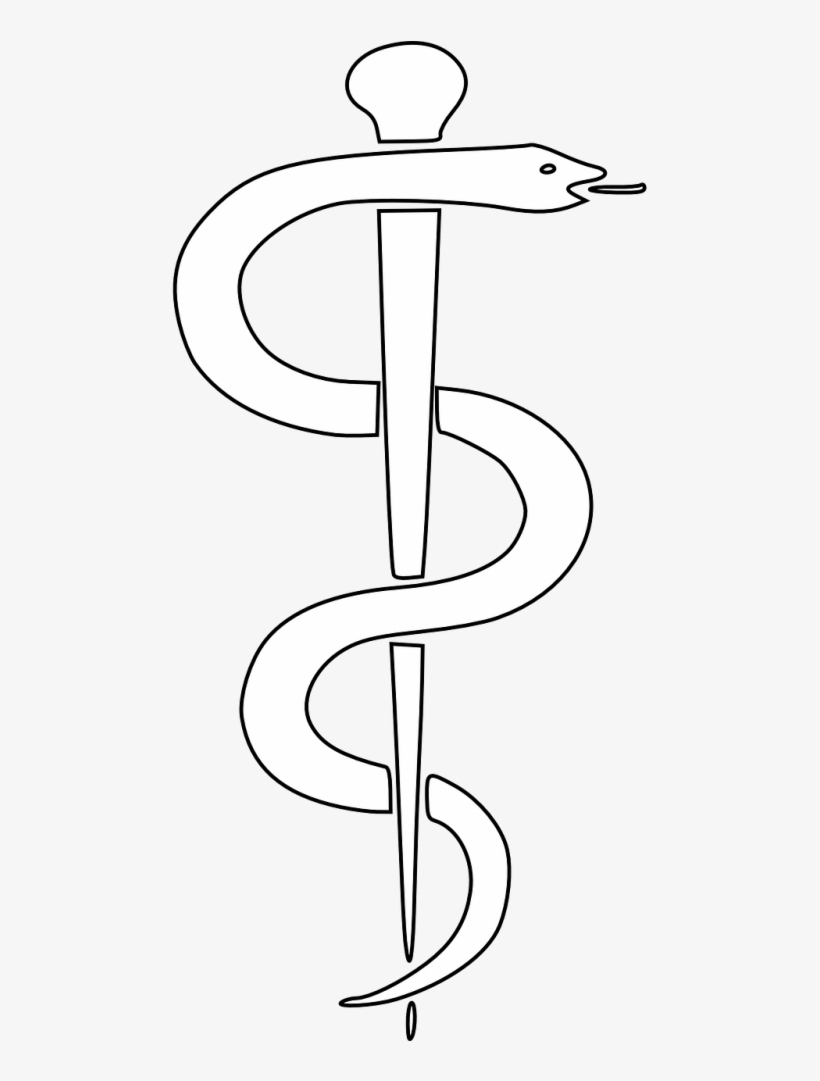 Aesculapian Staff,rod Of - Rod Of Asclepius - 500x1000 PNG Download ...