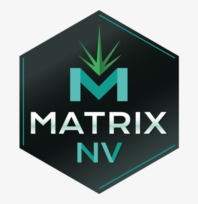 Matrix Nv - 670x770 PNG Download - PNGkit