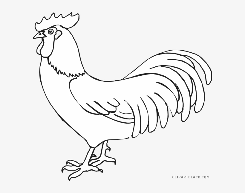 Vector Black And White Download Outline Clipartblack - Rooster Outline ...
