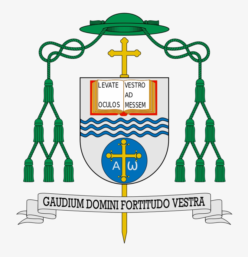 Matteo Maria Zuppi - Pope Siricius Coat Of Arms - 720x768 PNG Download ...