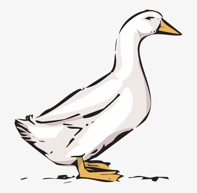 Duck On Farm Clip Art - 699x720 PNG Download - PNGkit