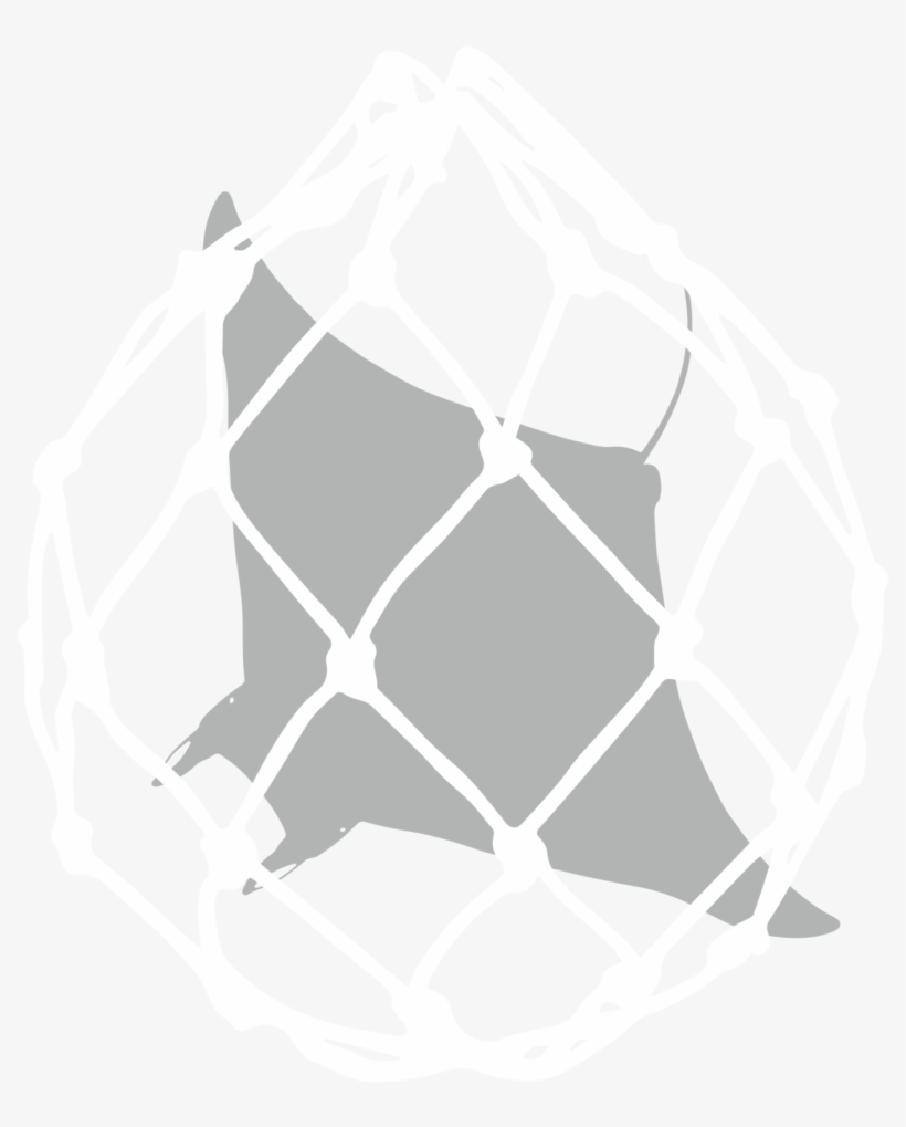 Threats Icons Bycatch White - Mesh - 1000x1000 PNG Download - PNGkit