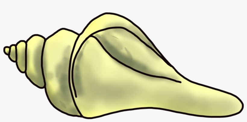 Cartoon Sea Snail Clip Art - Cartoon Conch - 1469x660 PNG Download - PNGkit