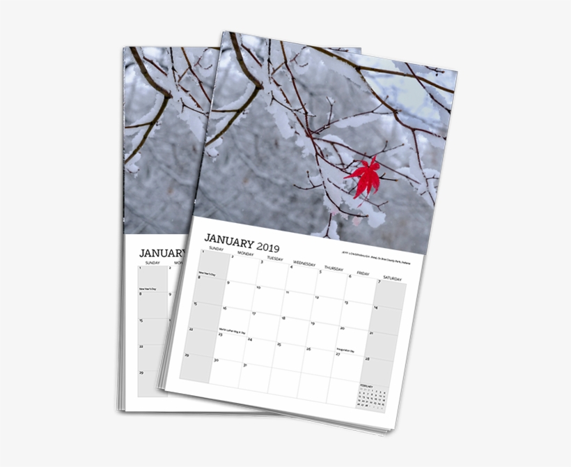 2-pack 2019 Calendar - Tree - 600x600 PNG Download - PNGkit