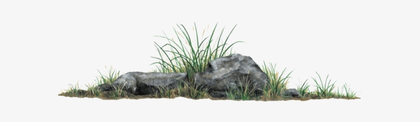 Rock Grass Png - 600x600 PNG Download - PNGkit