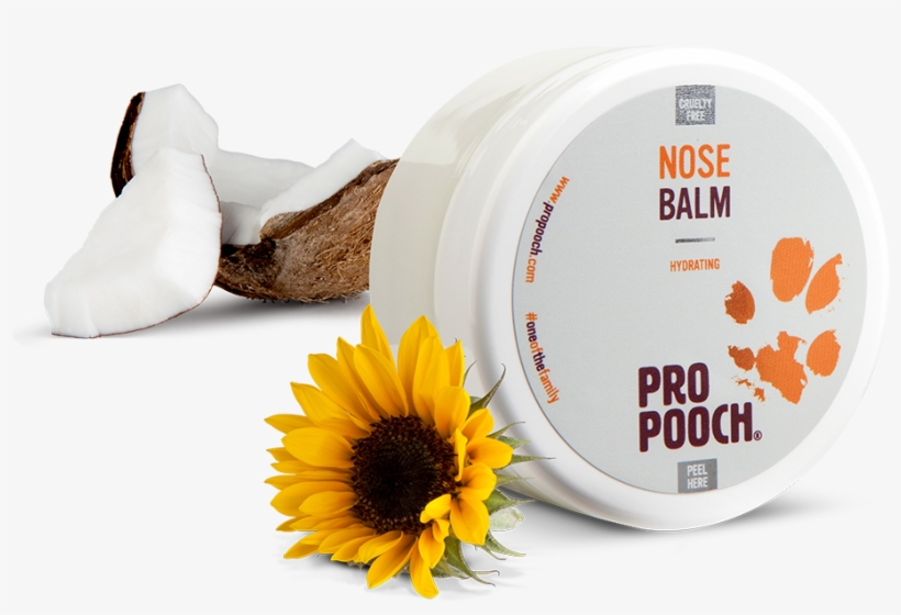 Unscented, Gentle Formula - Dog - 1000x1000 PNG Download - PNGkit