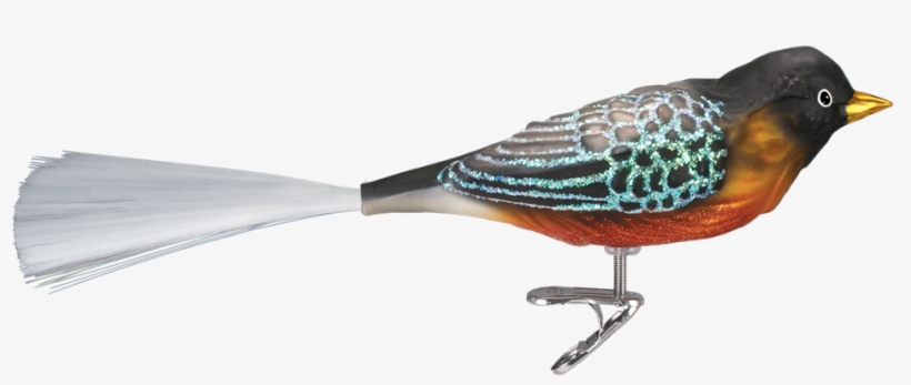 Glass Robin Clip By Old World Christmas - Finch - 1000x1000 PNG ...