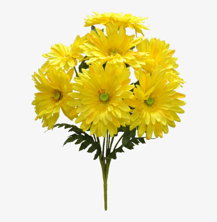 58205-ye - Chrysanths - 600x766 PNG Download - PNGkit