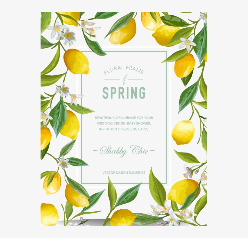Watercolor Lemon Border - 551x708 PNG Download - PNGkit