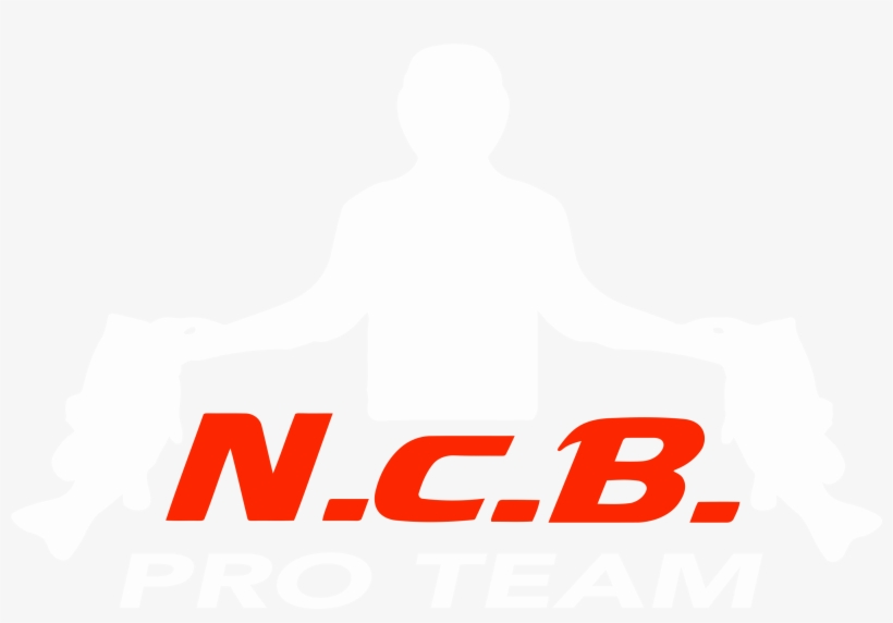 Download Transparent Transparent "pro Team" Logo - Orange - PNGkit