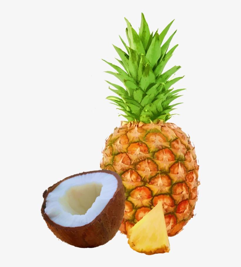 Nutraplex Pineapple Coconut Bar 15 Count - Individual Fruits And ...