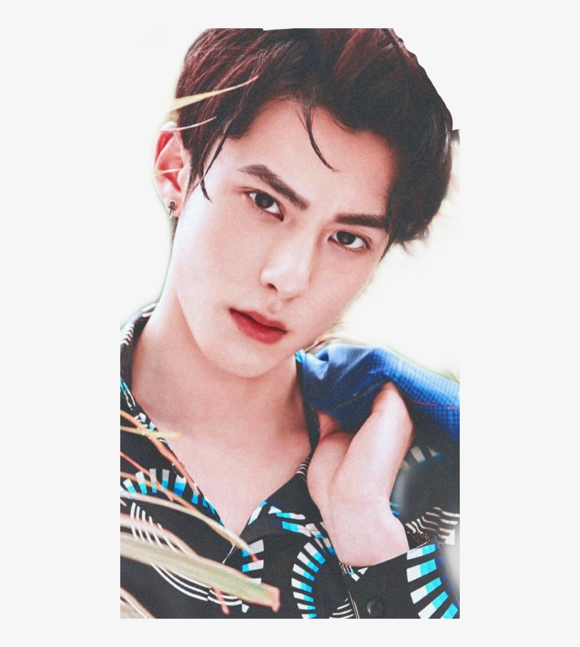 Dylan Wang - 480x835 PNG Download - PNGkit