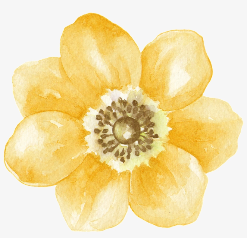 Yellow Fresh Flower Transparent Decorative - Flower - 1024x985 PNG ...