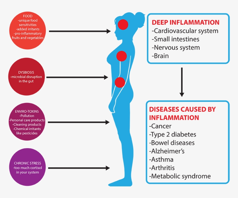 Inflammation Diagram 5b4f60ae9bc57 - Diagram - 766x603 PNG Download ...