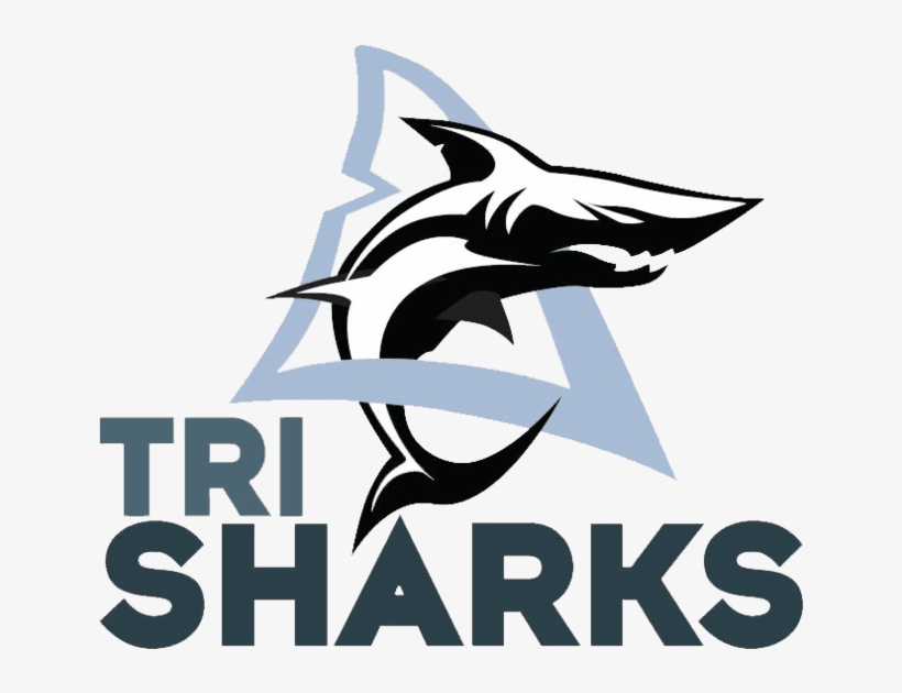 Thumbnail Image - Tri Sharks Logo - 640x550 PNG Download - PNGkit