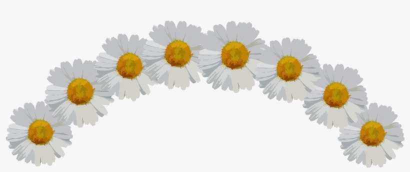 Ftestickers Sticker - Daisy Flower Crown Png - 1024x556 PNG Download ...