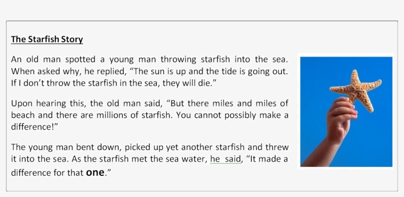 Download Transparent Starfish Story - PNGkit