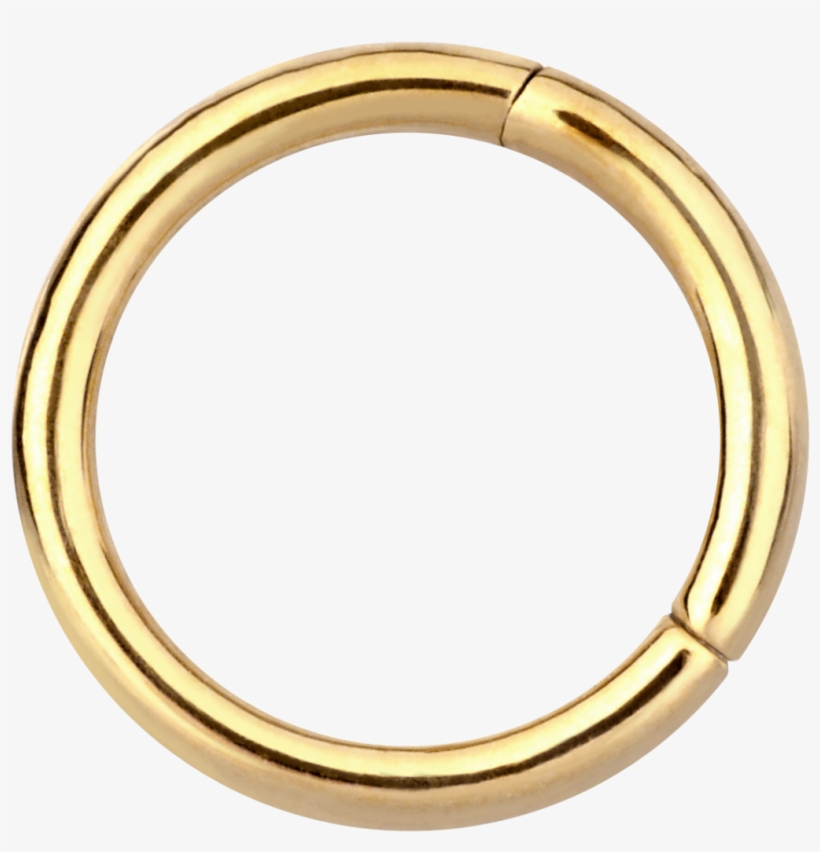 Segment Ring - Body Jewelry - 1024x1015 PNG Download - PNGkit