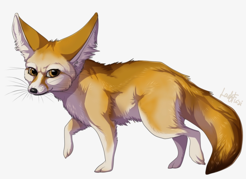 Fennec Fox Png Transparent Image - Fennec Fox Transparent - 1024x683 ...