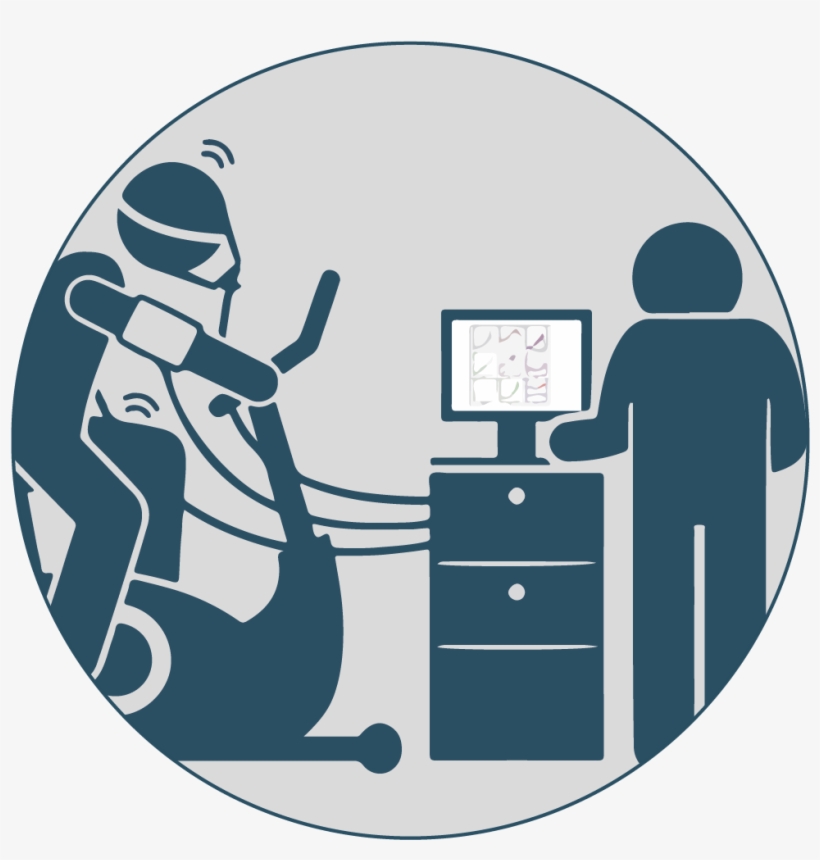 Cardiopulmonary Exercise Testing Involves Measurements ...