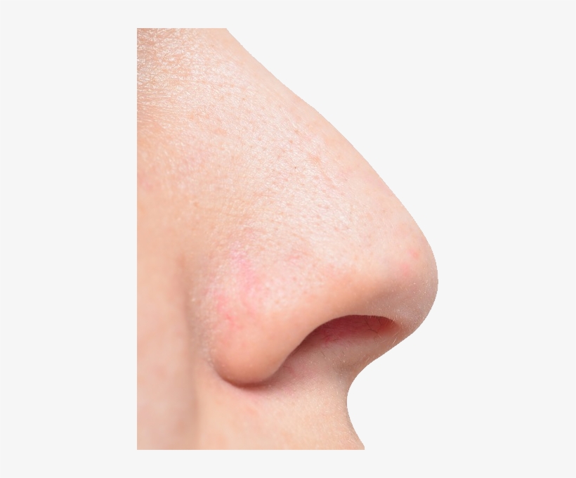 Human Nose Png - Nose Png - 430x600 PNG Download - PNGkit