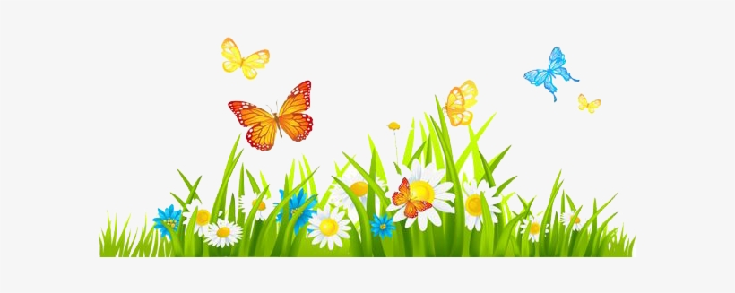 Spring - Grass With Flower Clipart - 600x258 PNG Download - PNGkit
