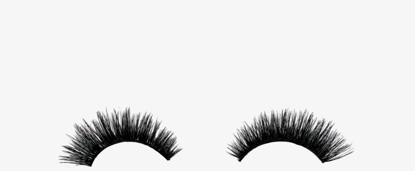 Download Transparent Eyelashes Transparent - Lashes Png - PNGkit