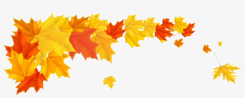 Fall Leaves Border Png - 3245x1449 PNG Download - PNGkit