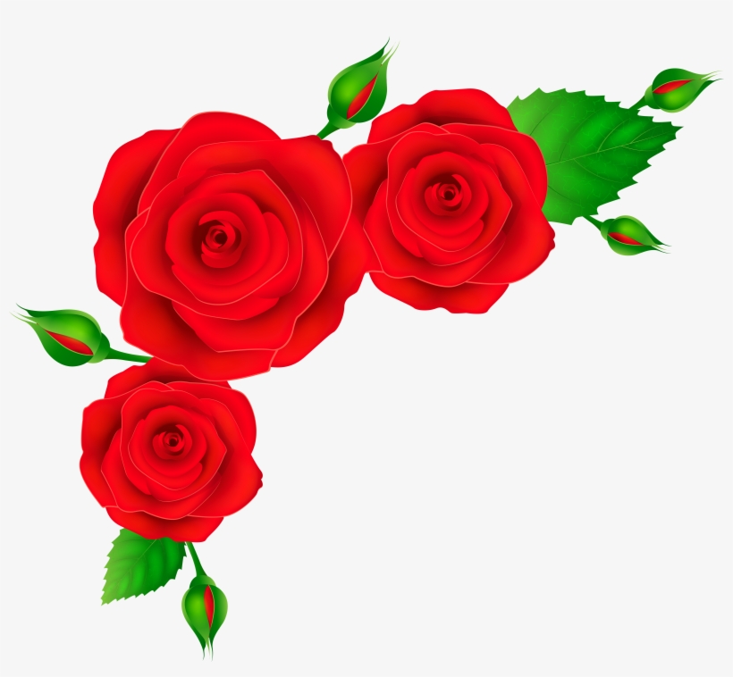 Red Roses Corner Transparent Png Clip Art Image - 8000x6705 PNG ...