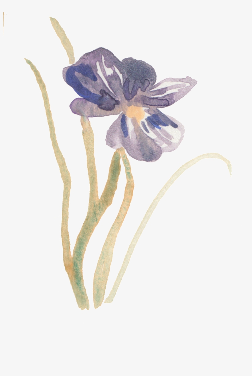 This Graphics Is Hand Drawn Close-up Dead Magnolia - Close-up ...