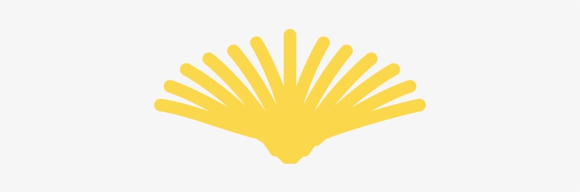 Download Transparent Halidon Primary School - PNGkit