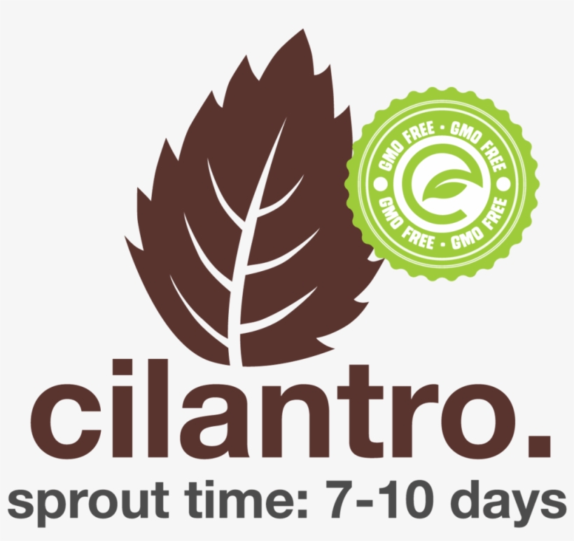 Cilantro - Tube Map Art - 1000x917 PNG Download - PNGkit