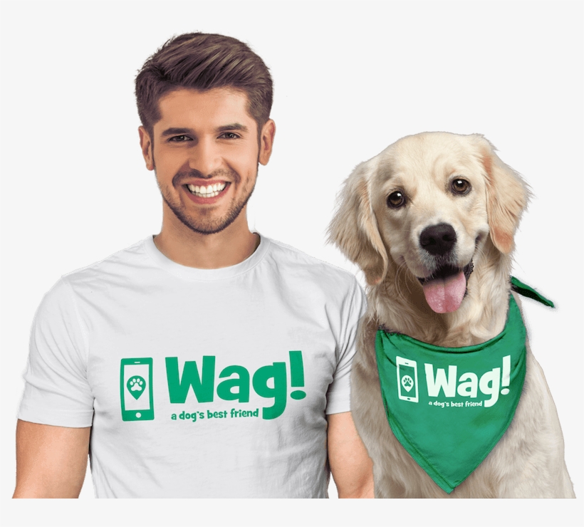 Wag Walker - 800x660 PNG Download - PNGkit