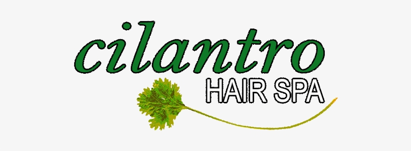 Cilantro Hair Spa - Cilantro Hair - 559x273 PNG Download - PNGkit