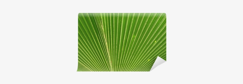 Chromium - 400x400 PNG Download - PNGkit